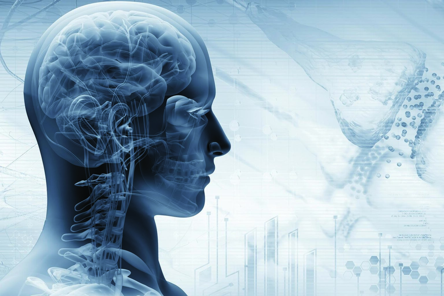 El individuo en Biología: concepto, ejemplos y su relación con la ...